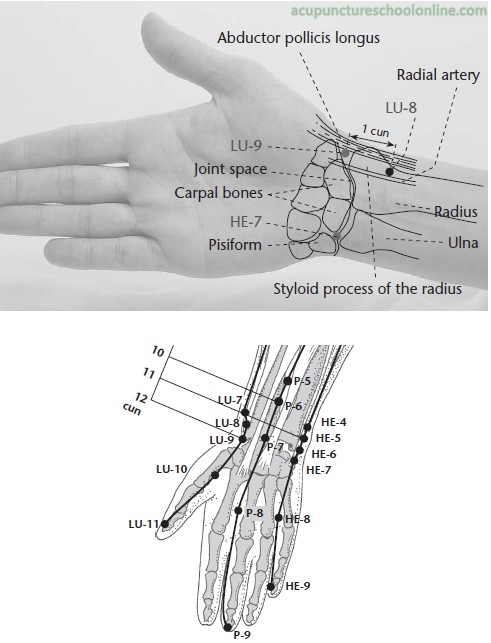 Jarum Sakti: Meridian Paru-paru & Usus Besar