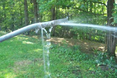 How ToButcher A Chicken: Step 1Getting Ready To Butcher