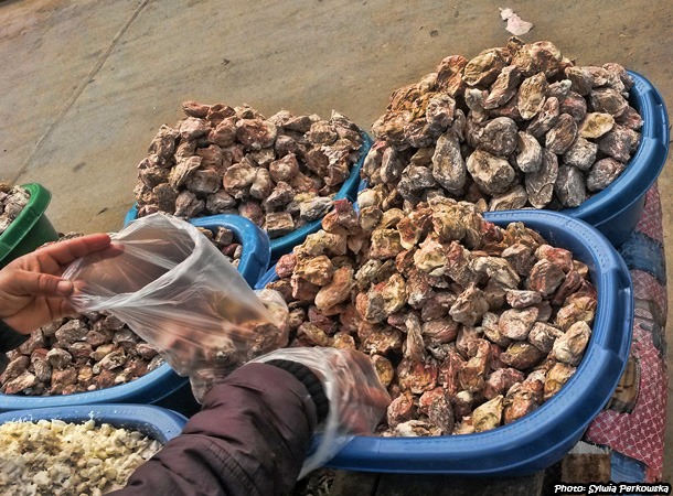 SHUNTUR ONGD: ¿QUE ES EL TOCUS O TOCUSH?