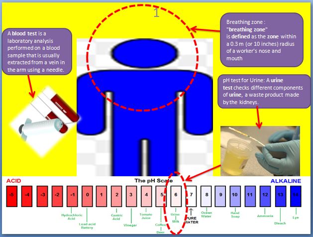 What is Biological monitoring? Why we do this? What are the advantages?