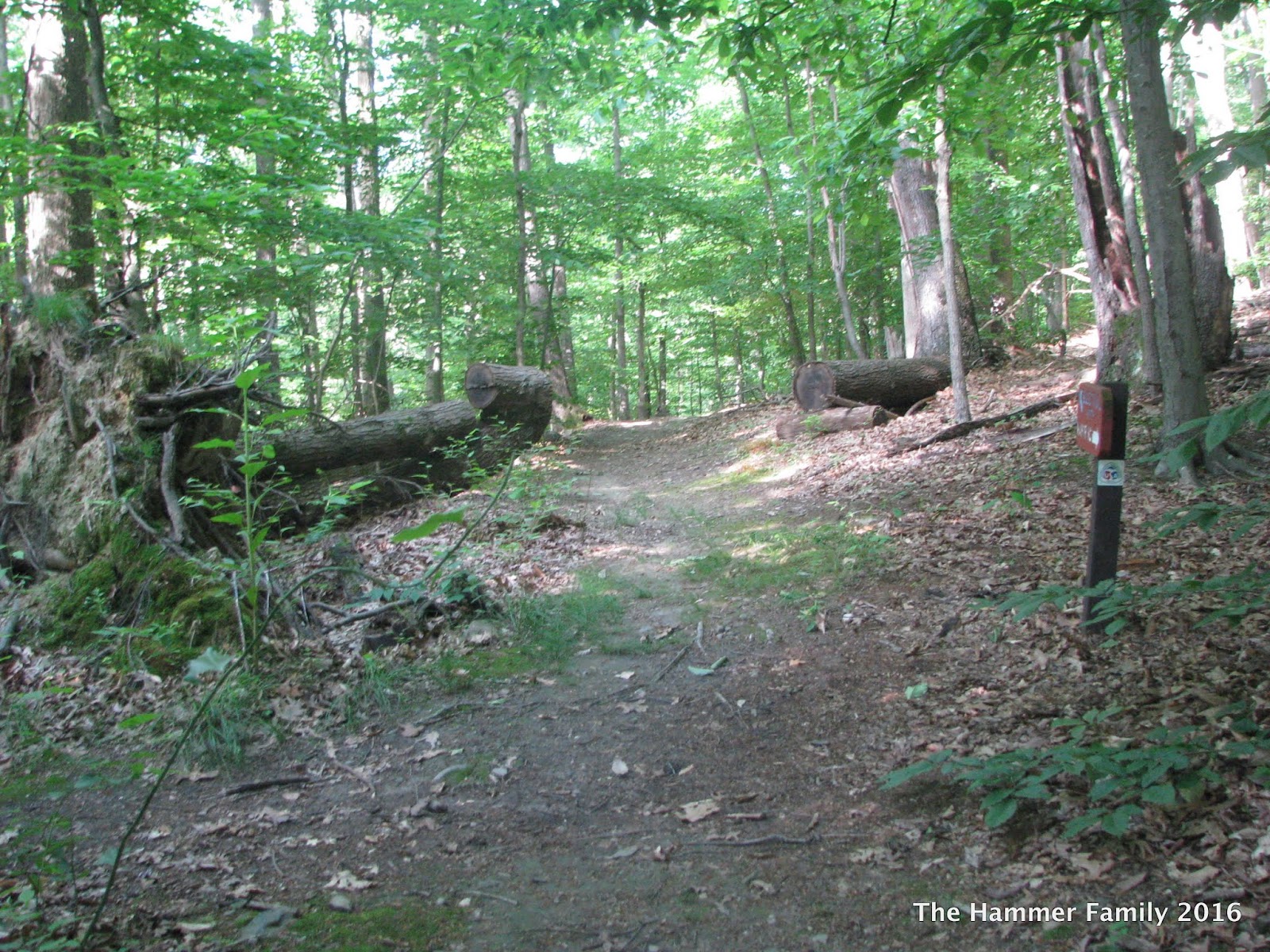 Hiking With Hammer: Cunningham Falls State Park - Manor Area, Bob's ...