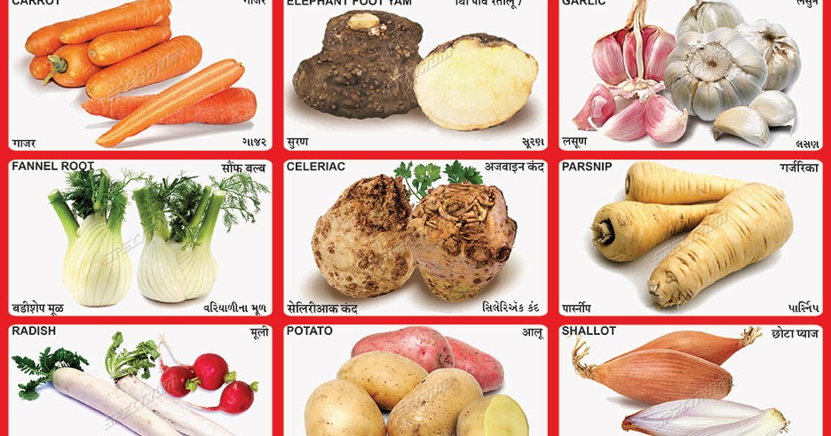 Spectrum Educational Charts Chart 435 Root Vegetables 1 spectrum-educational-charts-chart-435-root-vegetables-1