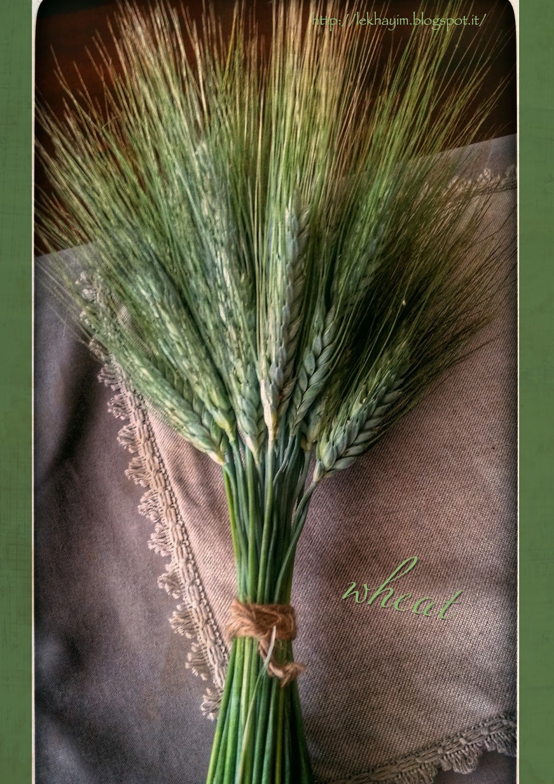 lekhayim: Grano - Wheat