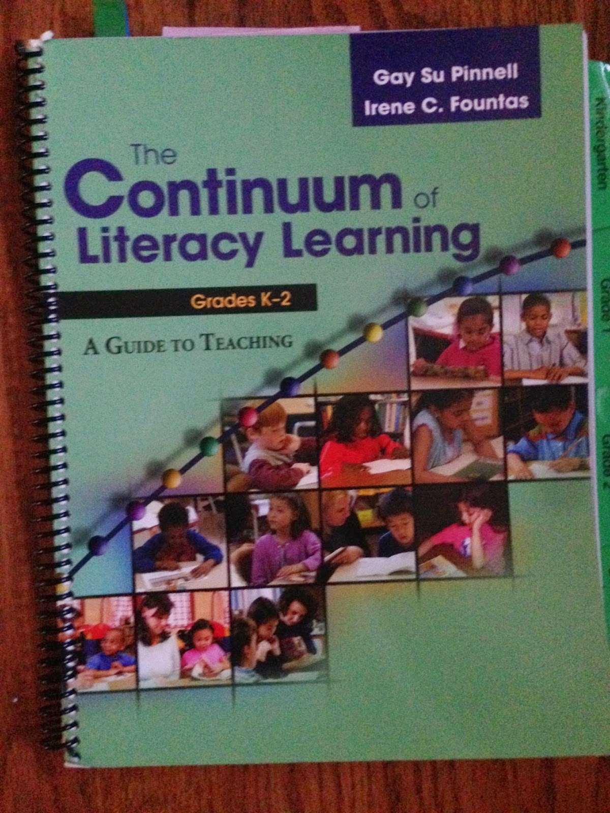 Funky First Grade Fun: Professional Books for Small Group Reading ...