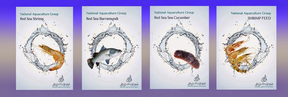 National Aquaculture Group (NAQUA): National Aquaculture Group NAQUA