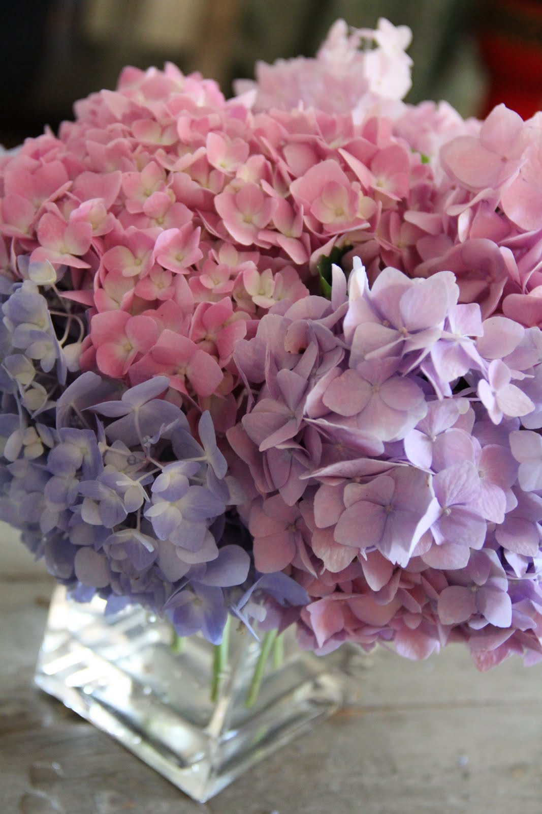 Jenny's Southern Comfort