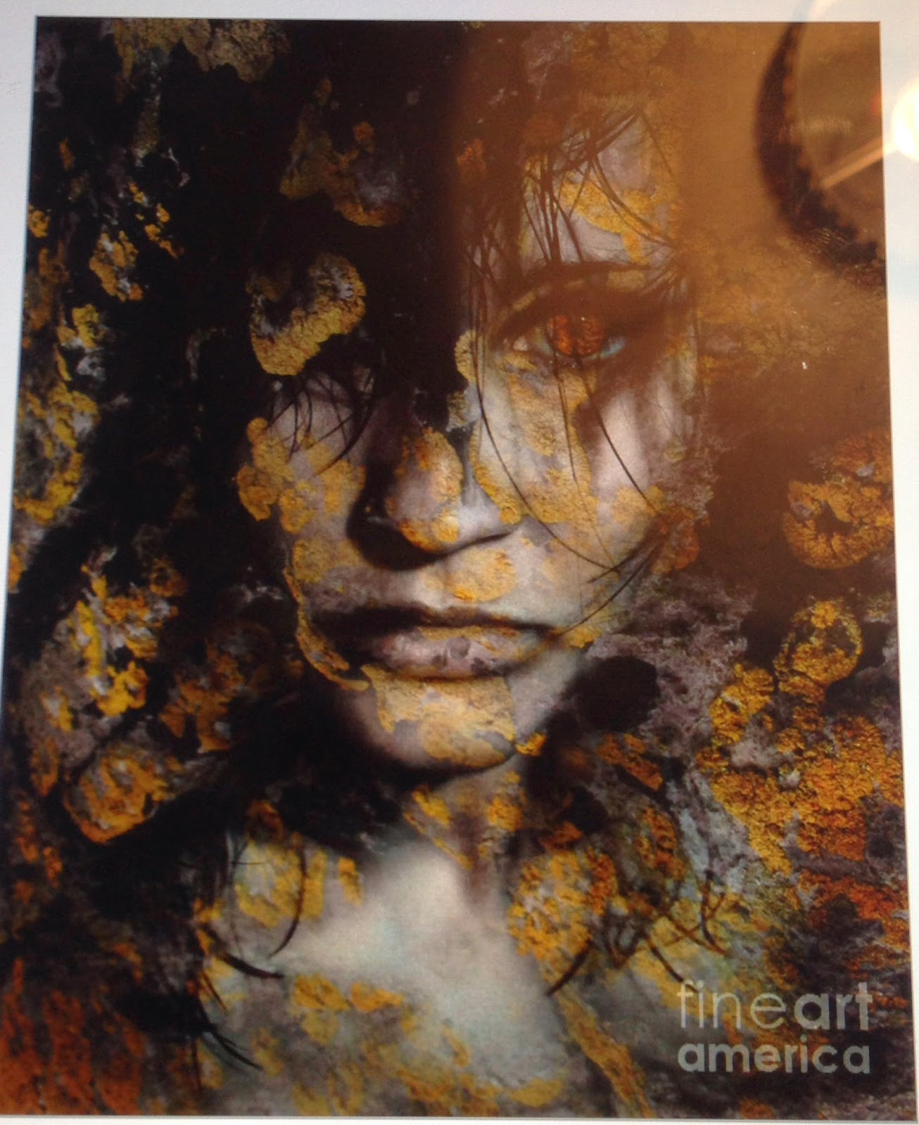 Multiple Images : Other Artists That Link Into The Theme of Decay ...