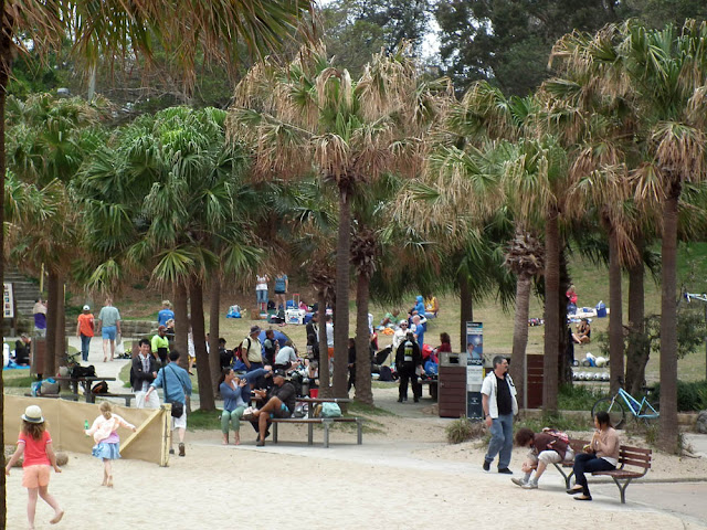 Days on the Claise: Cabbage Tree Palms