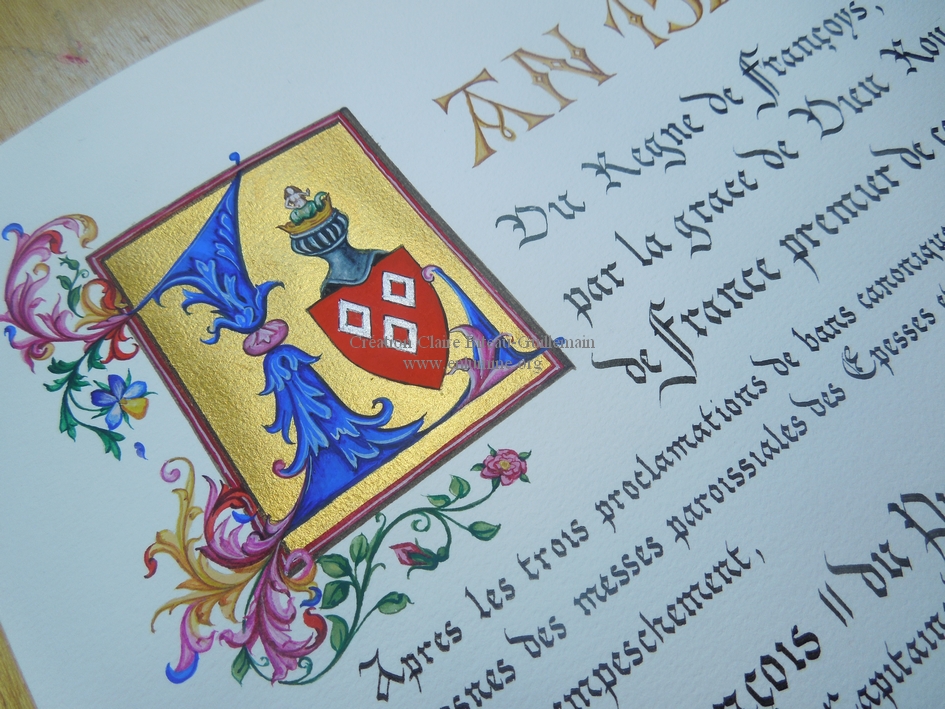 French Vocabulary Illustrated: enluminer