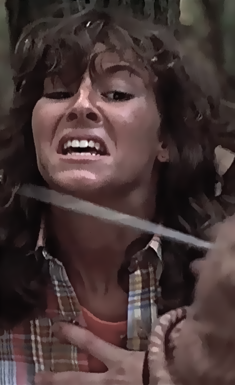 cult film freak: ROBBI MORGAN INTERVIEW: BORDERING ON CAMP BLOOD