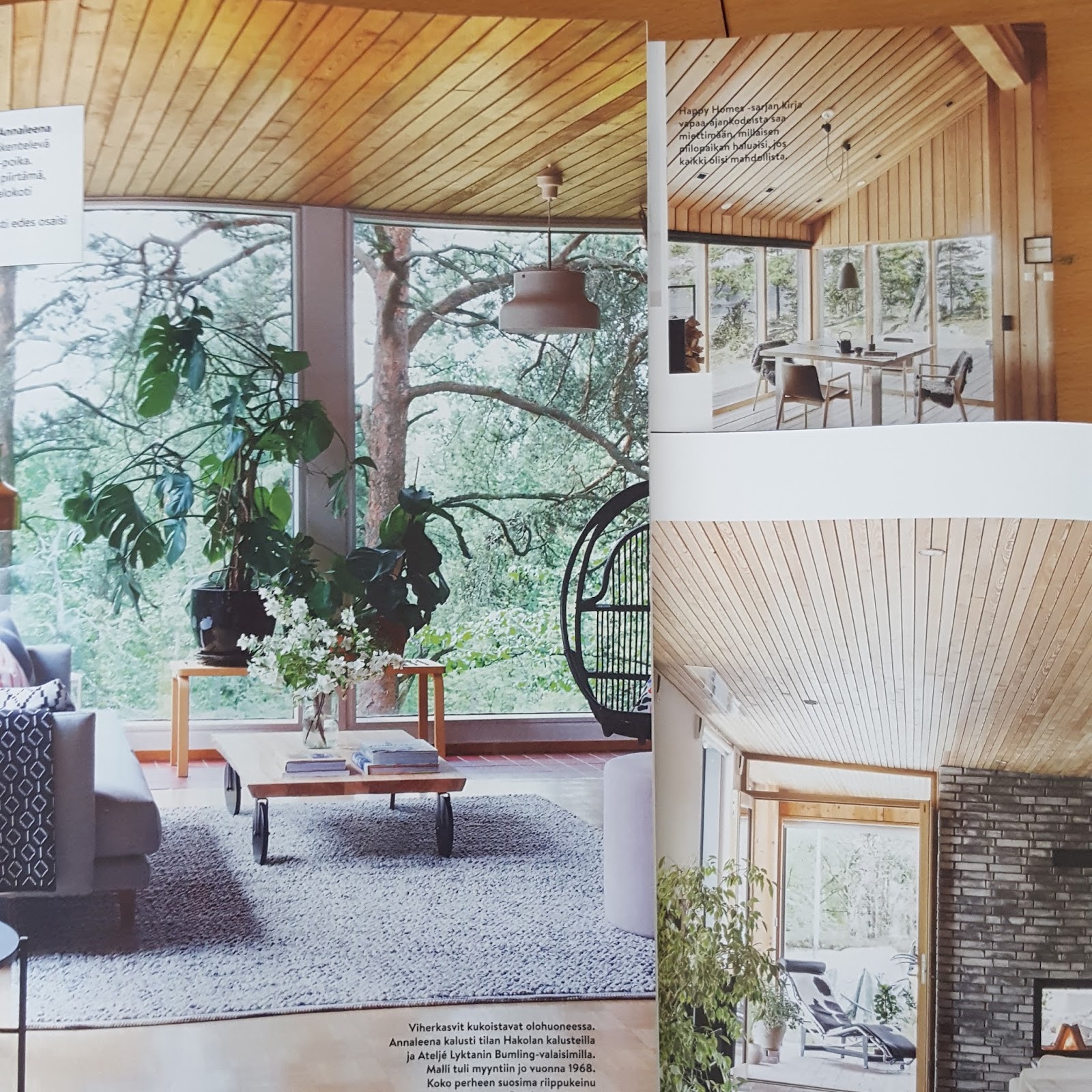 Kotona | Hemma: Rimakatto