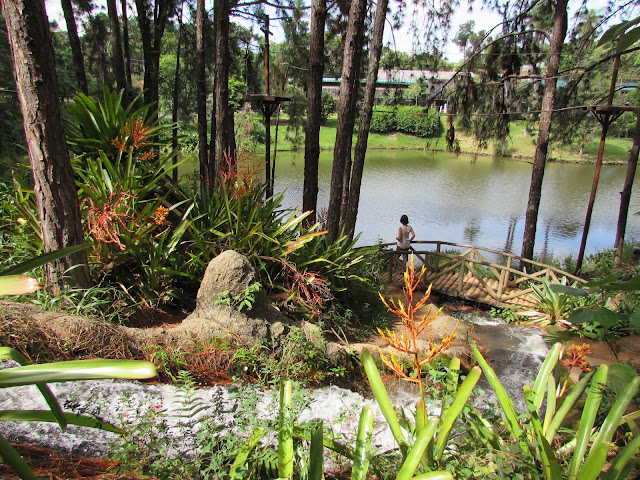 Tem que ir: Vale Verde Alambique e Parque Ecológico, muita natureza e ...
