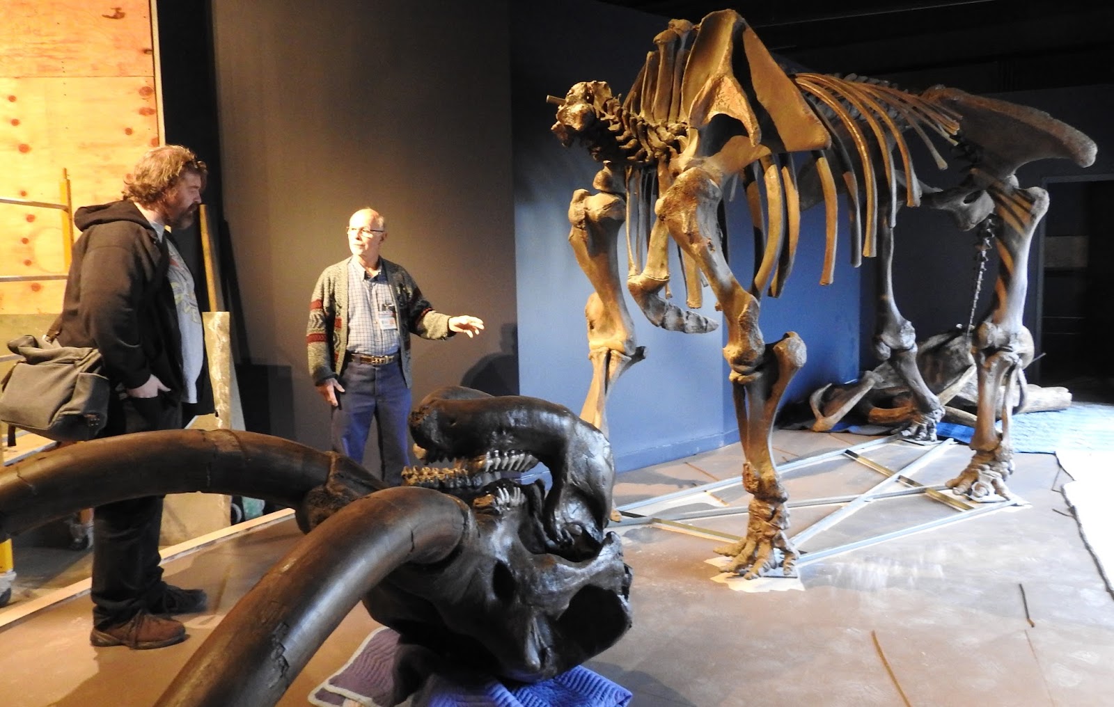 BONE ROOMS: Indiana State Museum