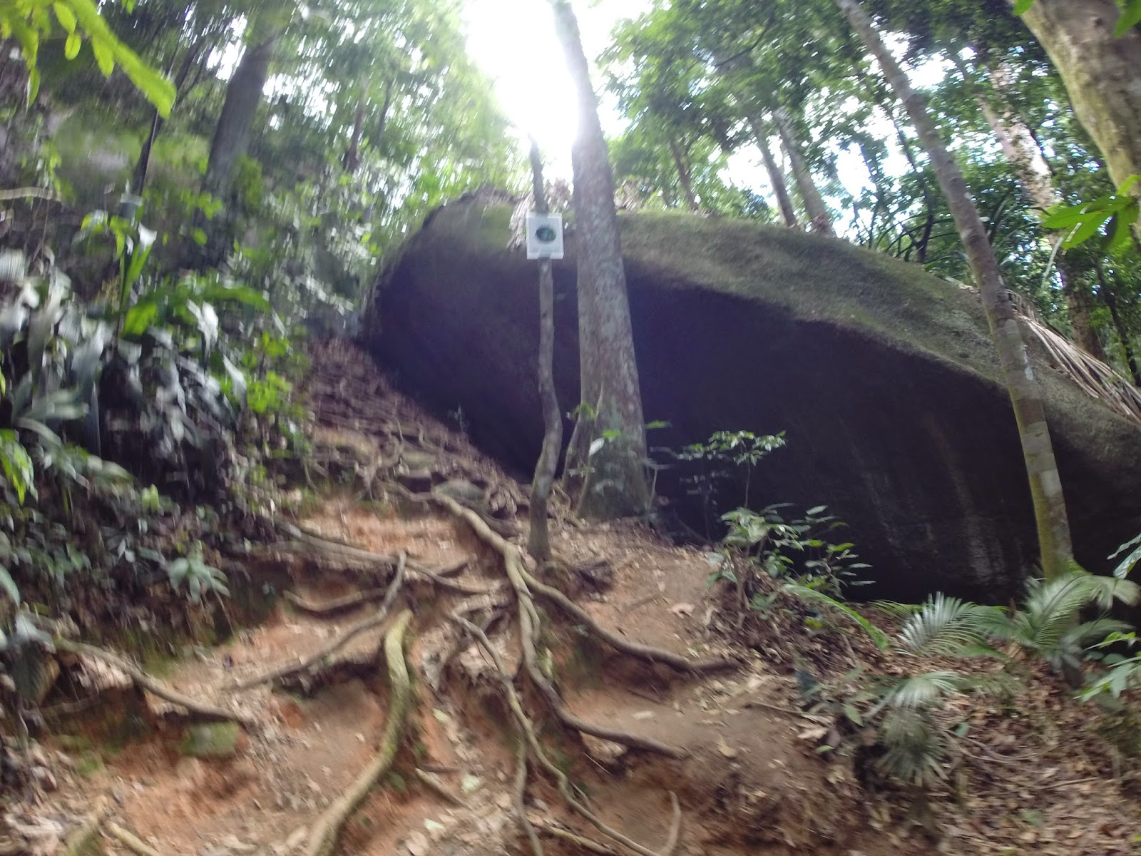 Hiking and Stuff: Gunung Datuk