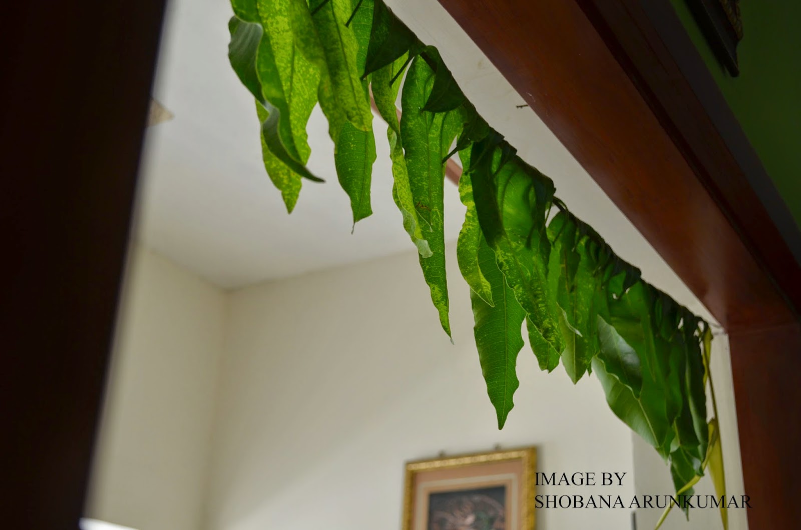 Varalakshmi Vratam & Ilai Sappadu! - ShobsKitchen