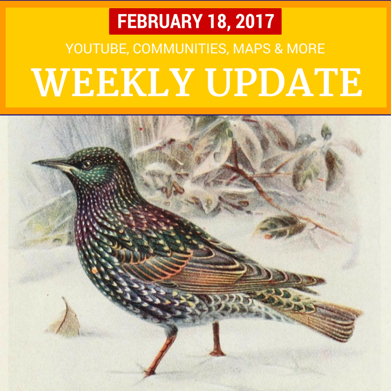 Weekly Update - February 18, 2017: YouTube, Community, Maps & More