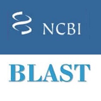 What is BLAST Software - | Bioinformatics