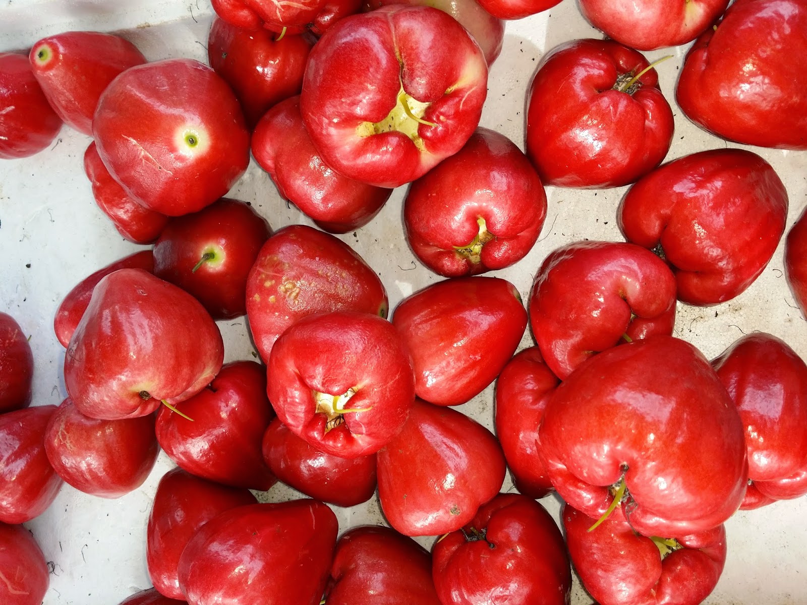 Xing Fu: ROSE APPLE (JAMBU AIR)