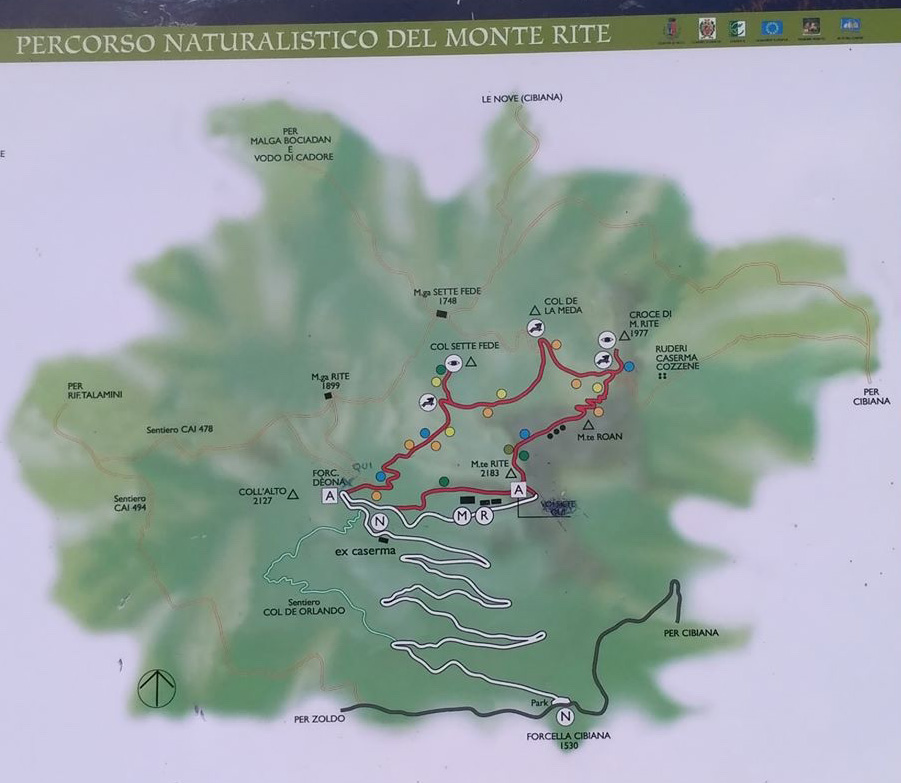 ITINERARIO NATURALISTICO DEL MONTE RITE