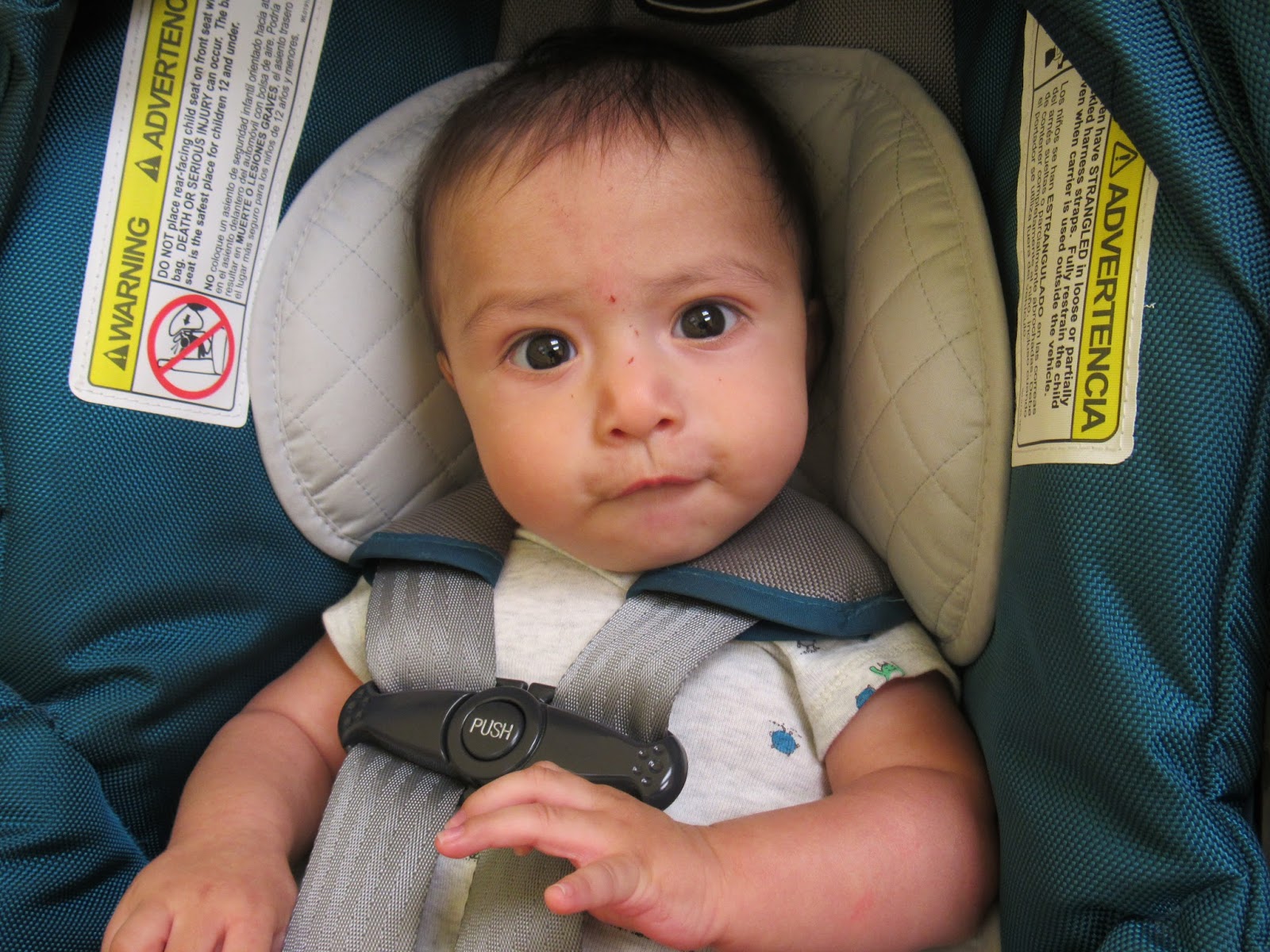 The 6 Month Mark | Writing Mother Fashionista