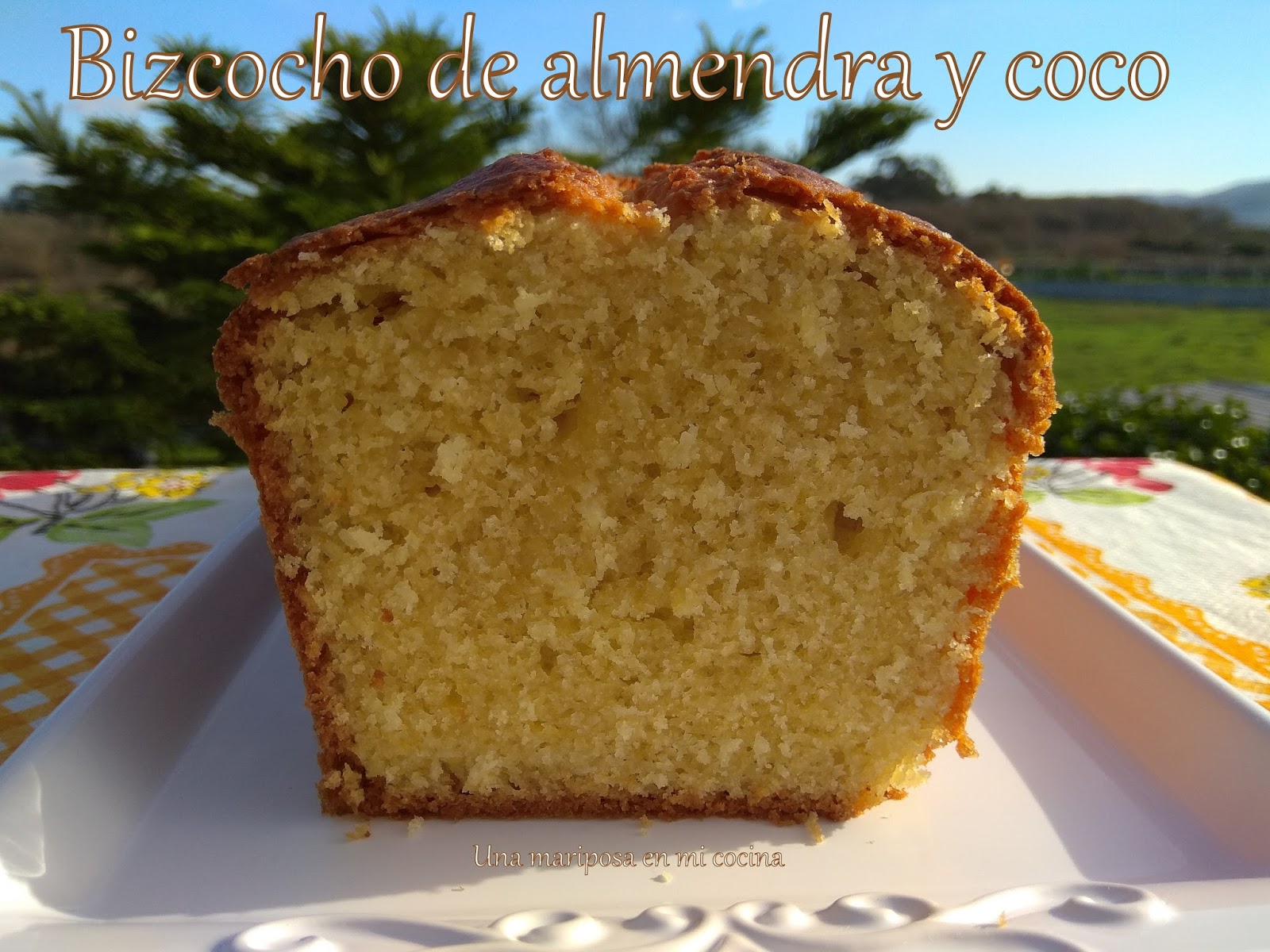 Una mariposa en mi cocina: Bizcocho de almendra y coco