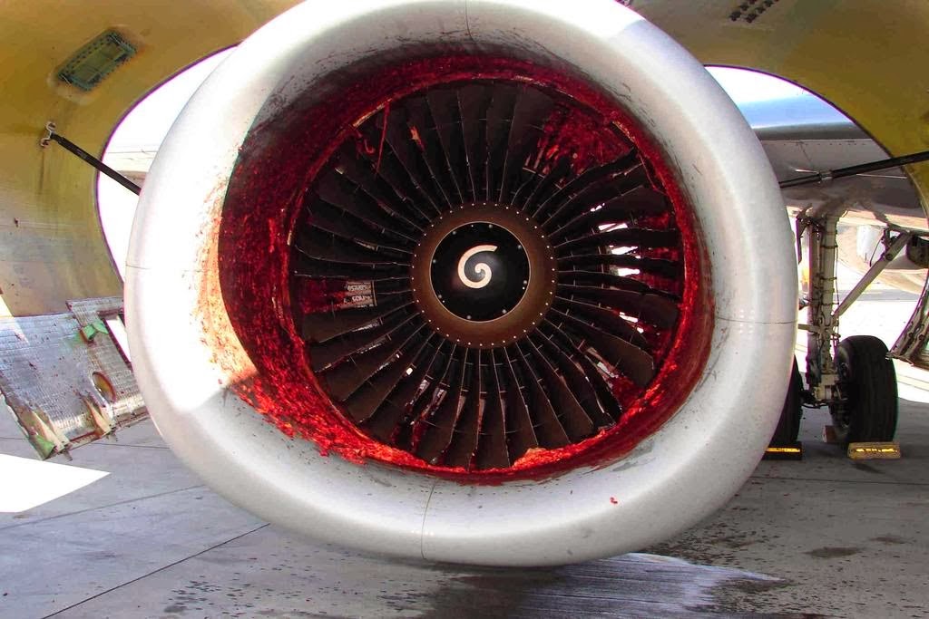 Gambar Amat Ngeri Mekanik Pesawat Boeing Hancur Disedut Ke Dalam Enjin ...