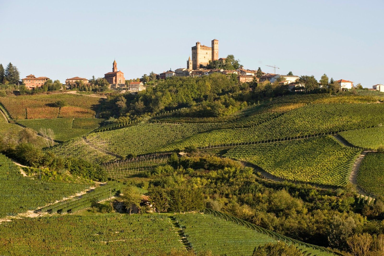 CellarNote: Vietti Barolo - John Fodera's Tuscan Vines