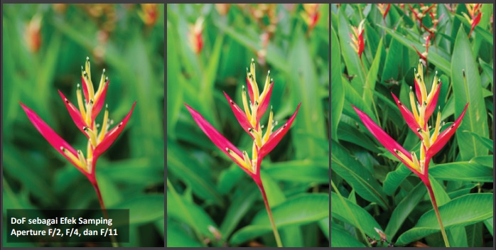 Segitiga Exposure Dalam Fotografi Adalah Shutter Speed, Aperture dan ...