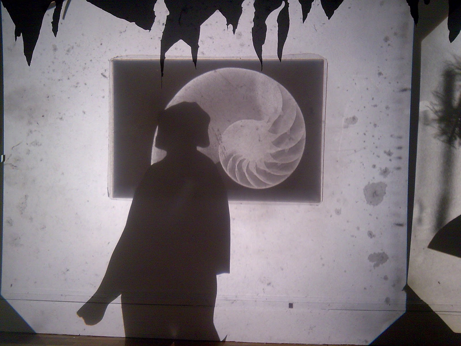 Looking at Artists and the Body: Experiments in Shadow Lab in the run ...