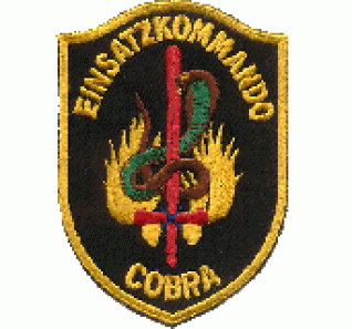 Los mejores Cuerpos y Fuerzas de elite