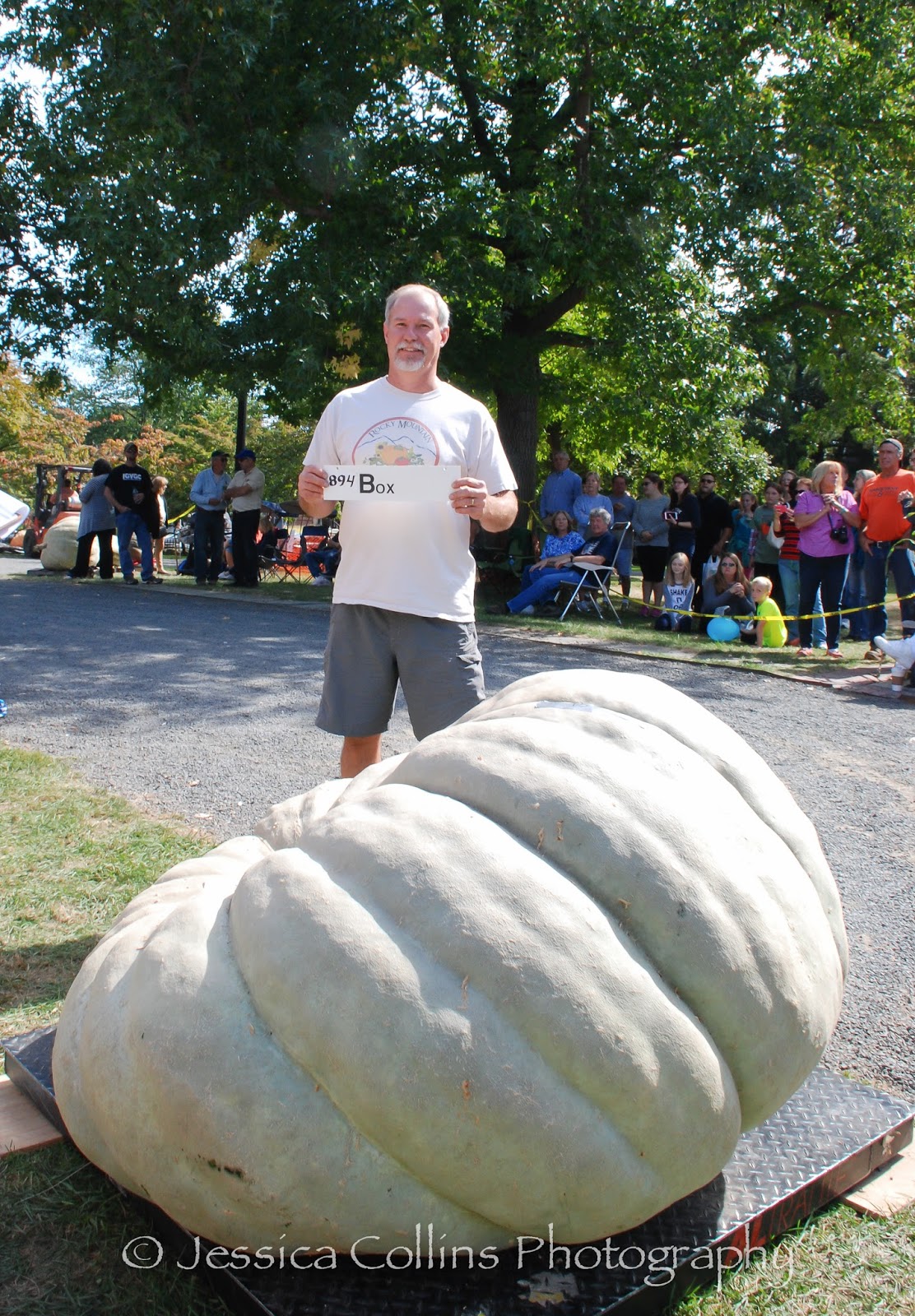 Jessica Collins Photography: The pumpkin results are in!
