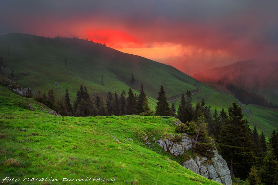 Imagini din Muntii Rarau - Informaţia Timişoarei