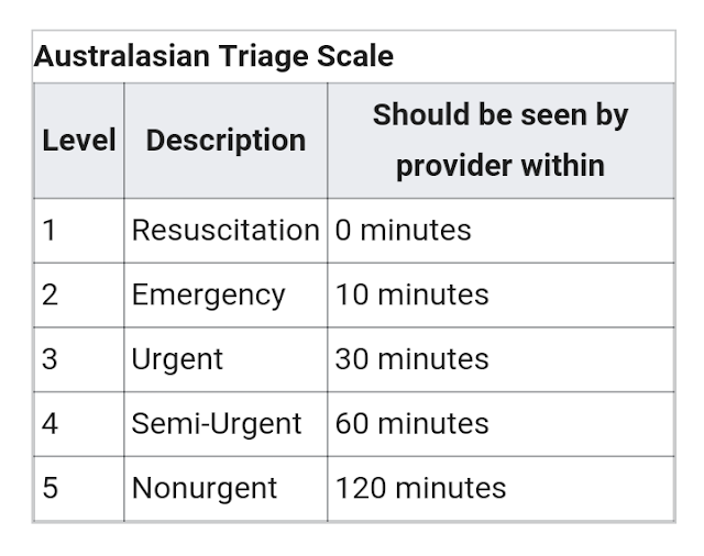 Triage (The Priority Of Patients) - Mr. Green Healt Nurse