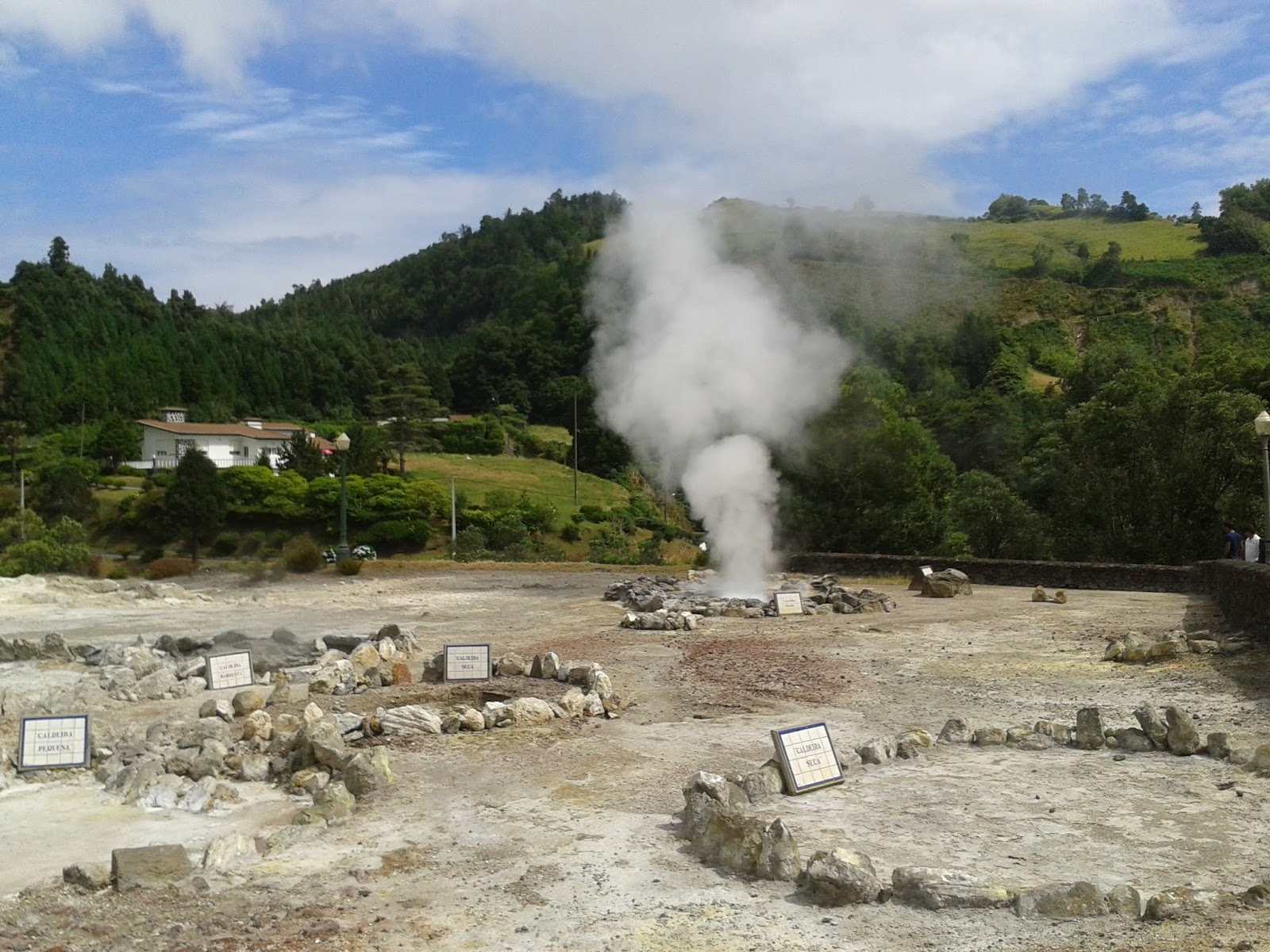 ¡DEJADME VIVIR!: Geología en vivo: fumarolas en las Azores.