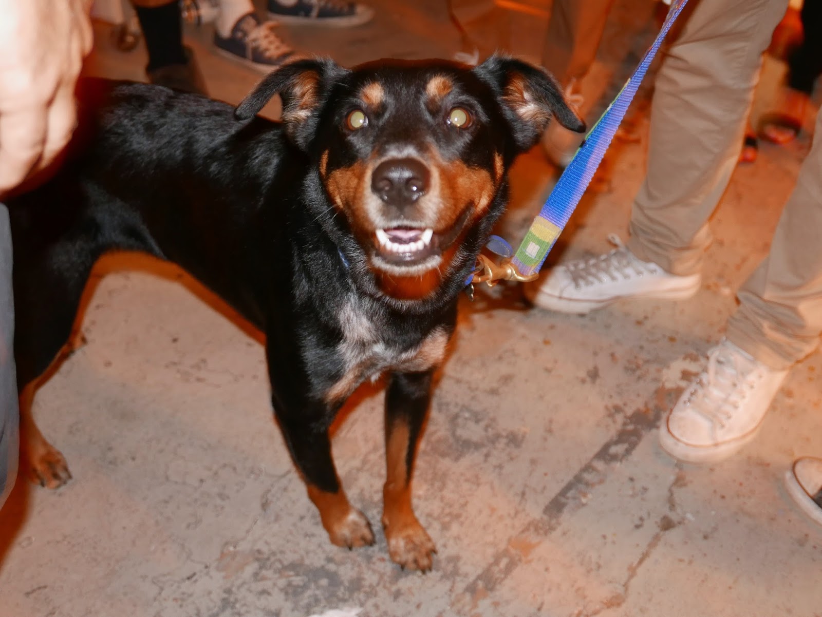 DAVID MATTHEW WRIGHT BLOG: Kevin Ancell Opening Venice Beach