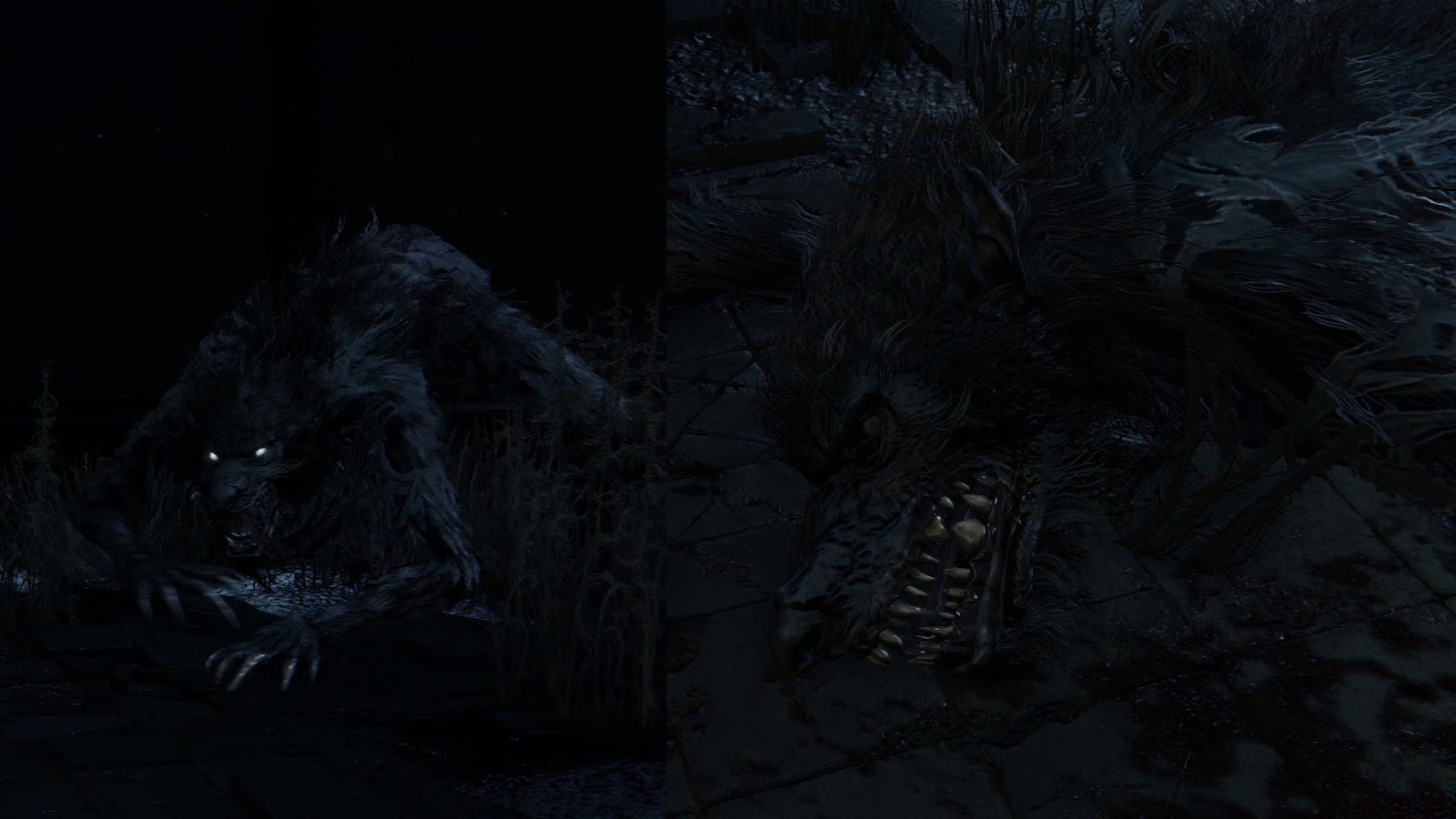 Scourge Beast | Bloodborne Wiki