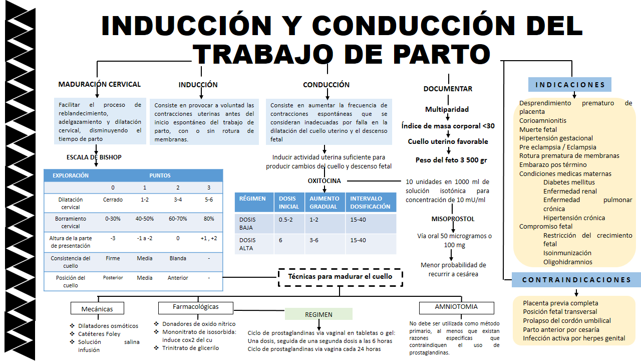 Blog ginecologia ana karen: Inducción y conduccion del mecanismo de parto