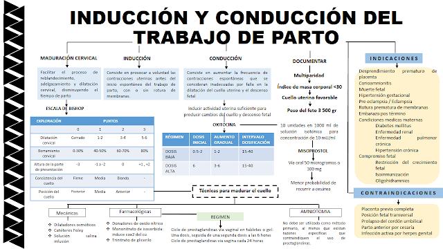 Blog ginecologia ana karen: Inducción y conduccion del mecanismo de parto
