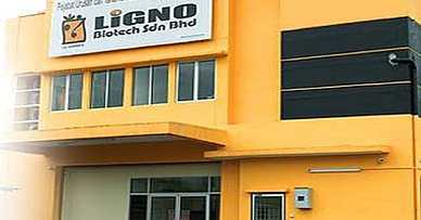 Tiger Milk Mushroom: Penubuhan Ligno Biotech Sdn. Bhd.