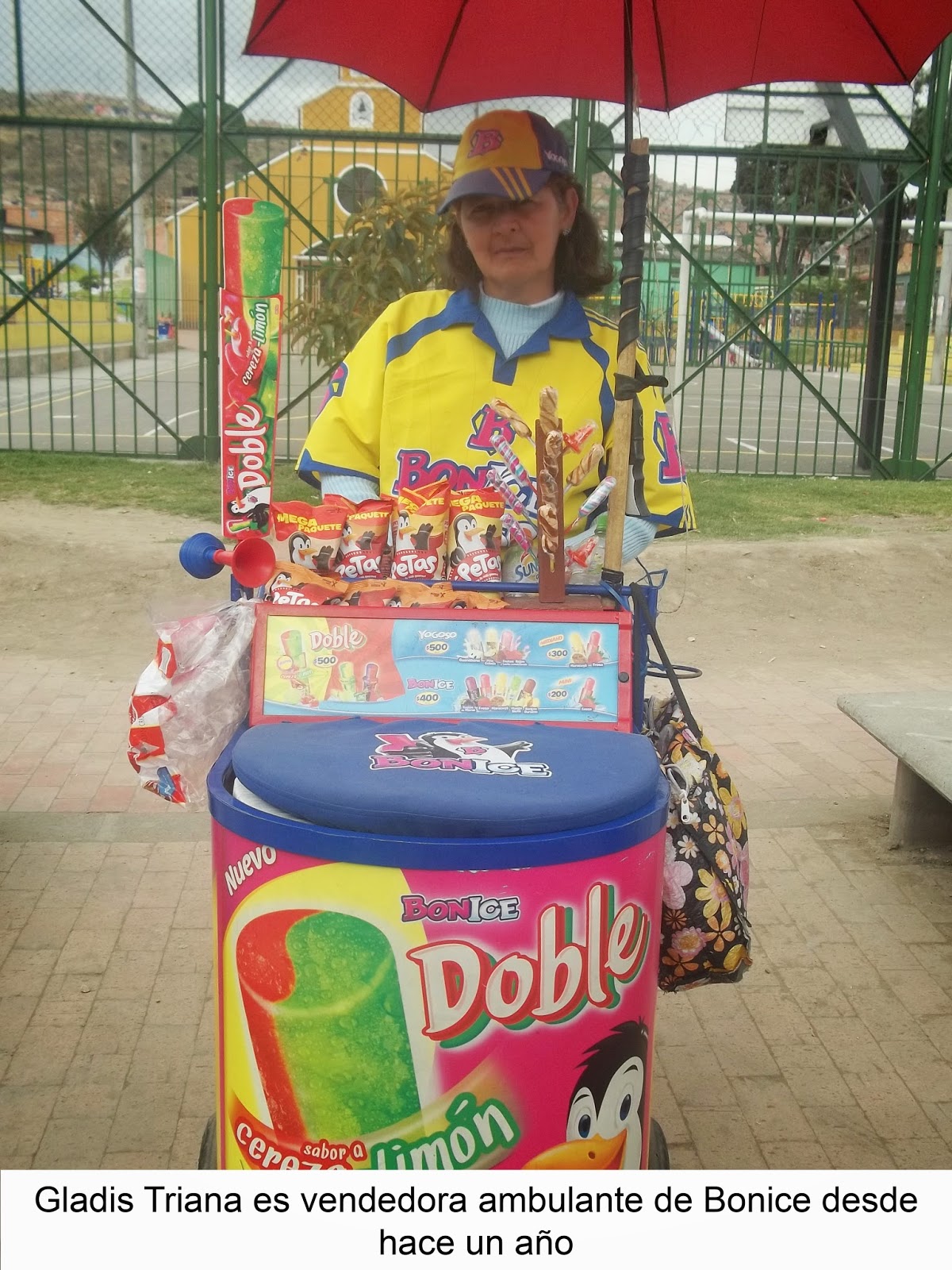 Modular Sexto Semestre 2015-1: Los vendedores ambulantes de Bonice