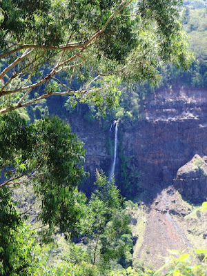 National Park Odyssey: Spring Creek Road Scenic Drive, Boonah to ...