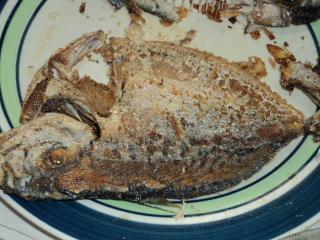 Day by Day with Divine: Moonfish or "Hiwas"