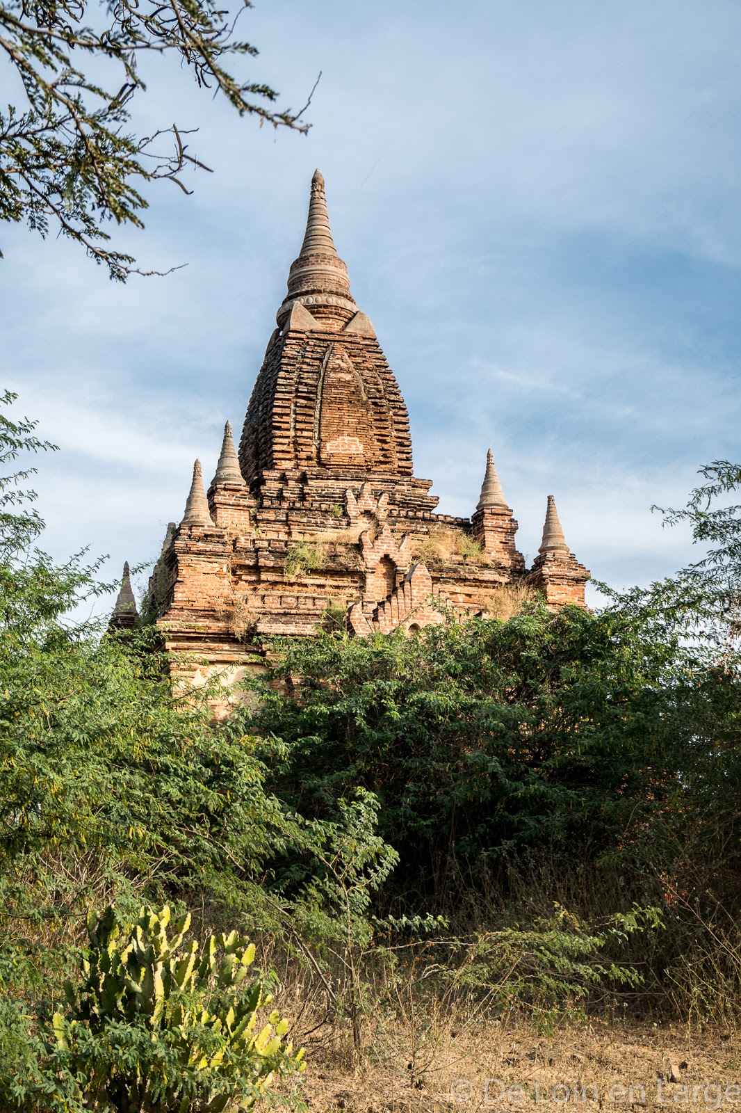 Birmanie - jour 12 : Bagan en ballon - Old Bagan