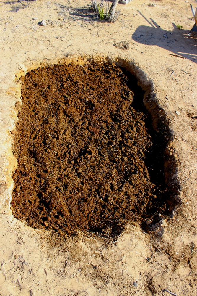 The Field Lab: the pit