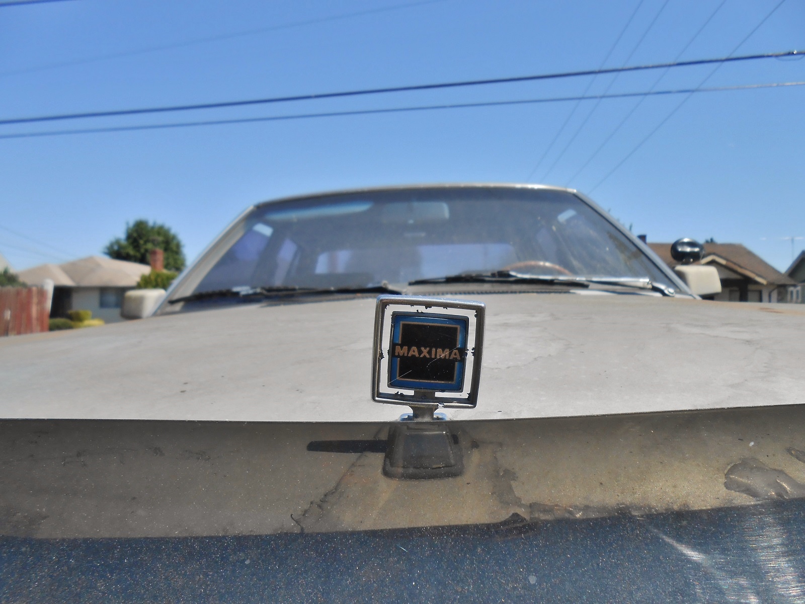 Seattle's Parked Cars: 1984 Datsun Maxima