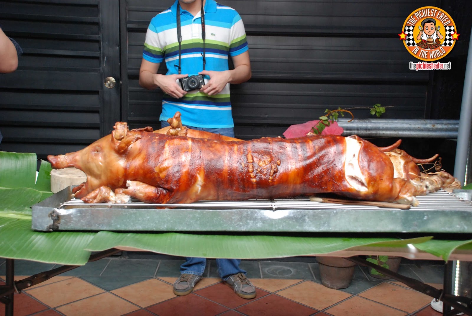 THE PICKIEST EATER IN THE WORLD: DIPLAHAN LECHON: ZAMBOANGAS FINEST ...