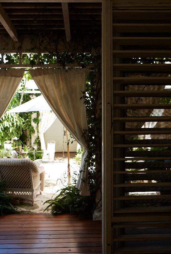 Pepper Key Stacie: Five Eco-Friendly Facts about Fleur de Lys