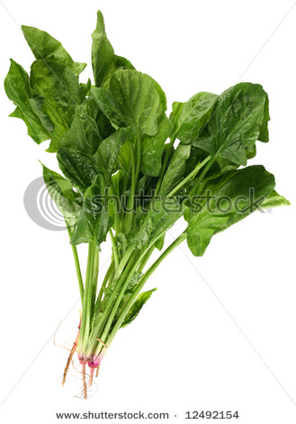 TEPUNG AYAM GORENG BEREMPAH: Rahsia Akar Bayam