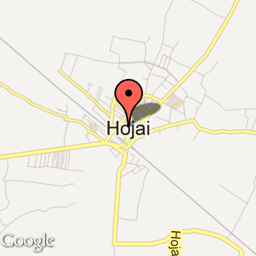 Mridul Nandy's Blogs: History of Hojai,Assam