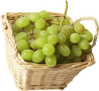 GLUCIDOS | MICHAEL SCIENCE